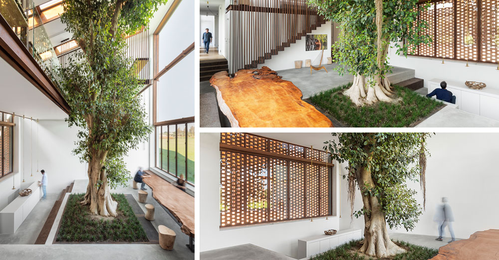 Greenary by CRA-Carlo Ratti Associati | A House Built Around a Tree